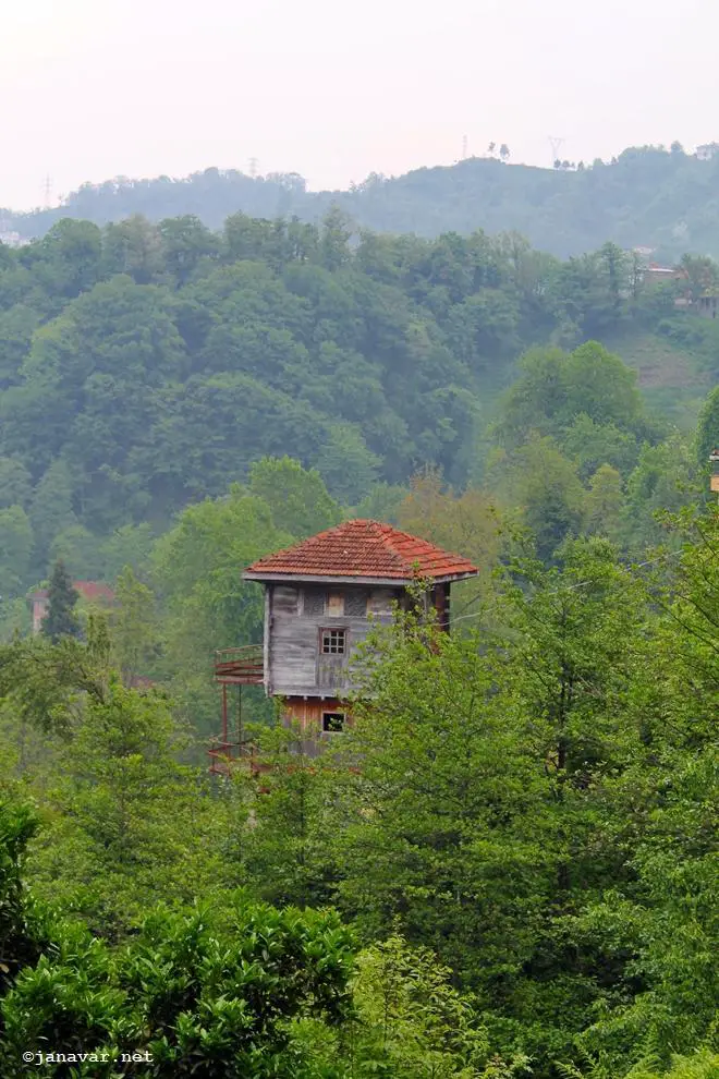 Travel: Rize - Where the tea comes from in Turkey | janavar
