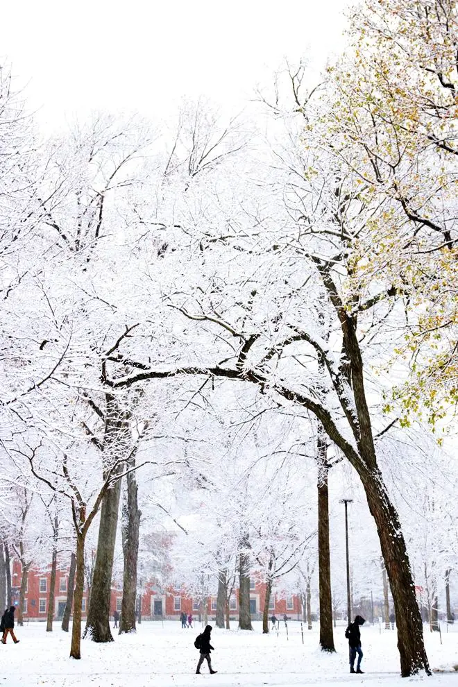 20 Reasons to Like Winter | janavar