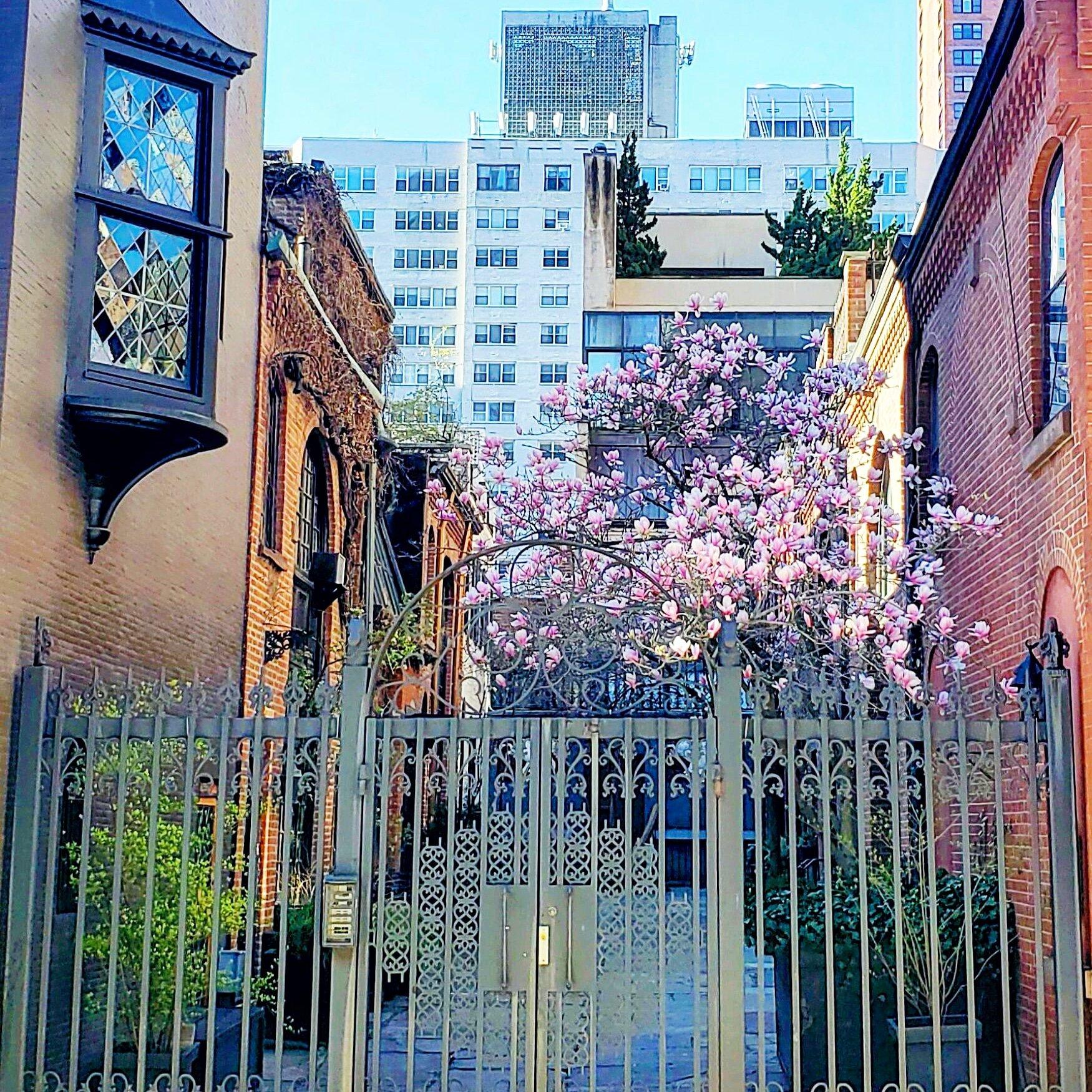 Week in review: 23 - 29 March 2020 | janavar