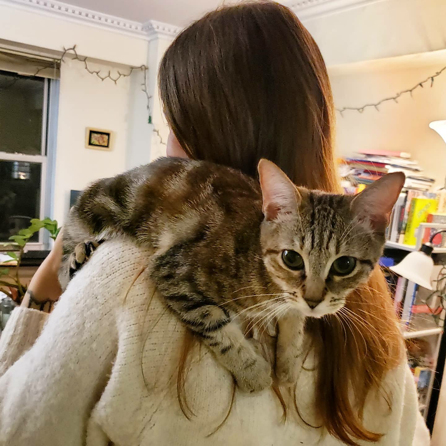 Week in review: 15 – 21 February 2021 | janavar